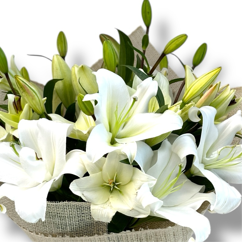 Lily Veil – Blue Flowers Shop