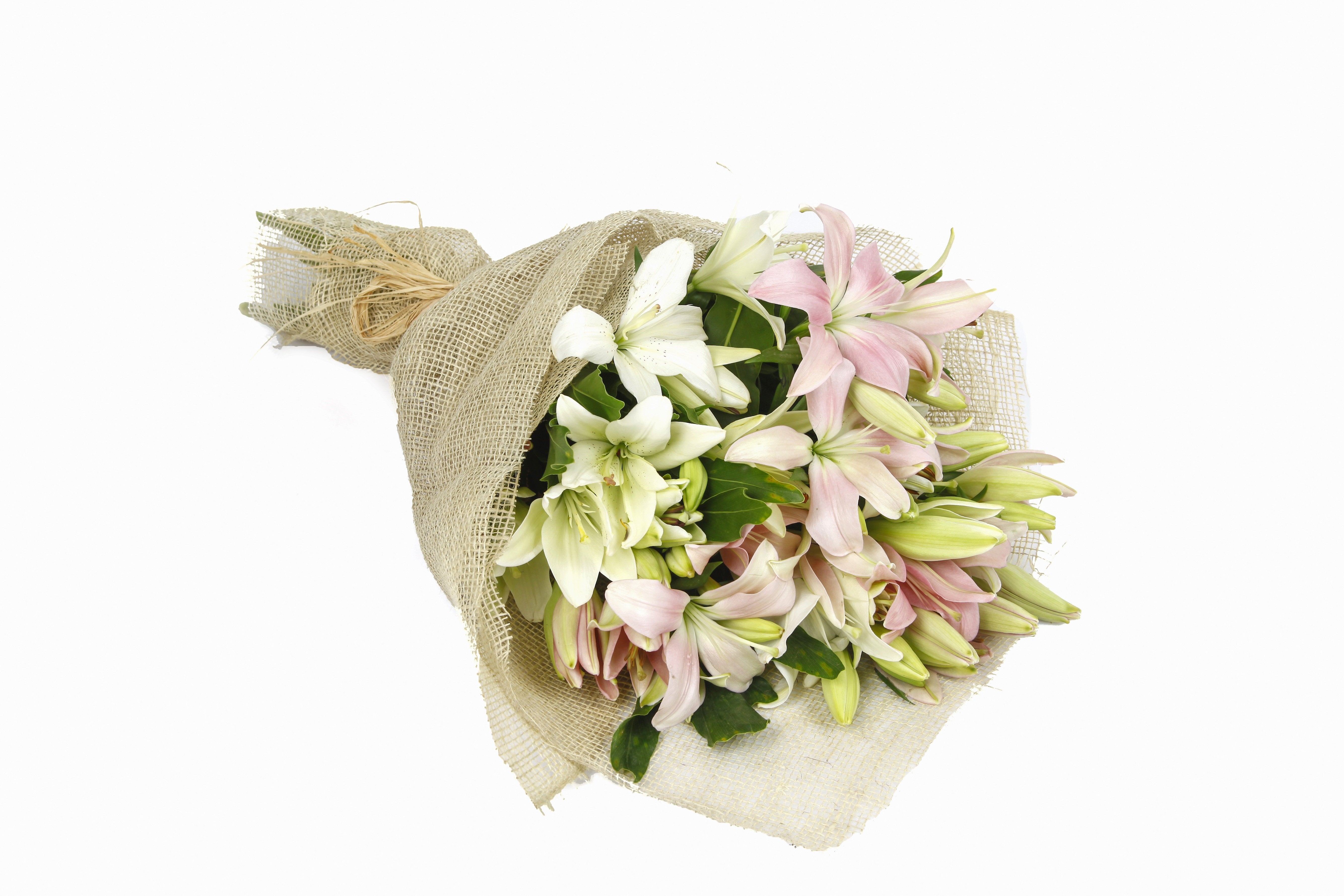 Blue - Flowers r us – Blue Flowers Shop